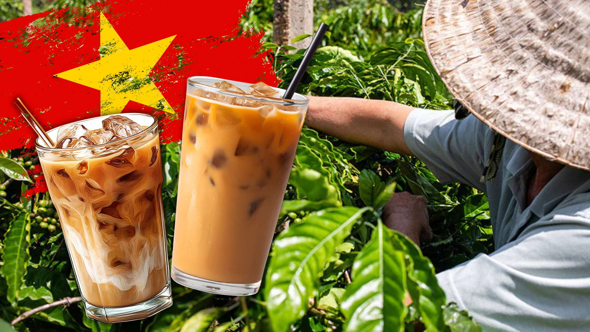 Vietnamese Coffee Explained By Kelli Luu | 14 Nov, 2025 | GOLDSEA ...